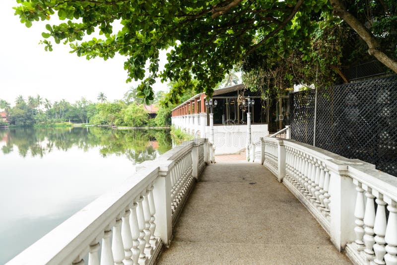 White bridge in the forest stock image. Image of pattern - 53527399