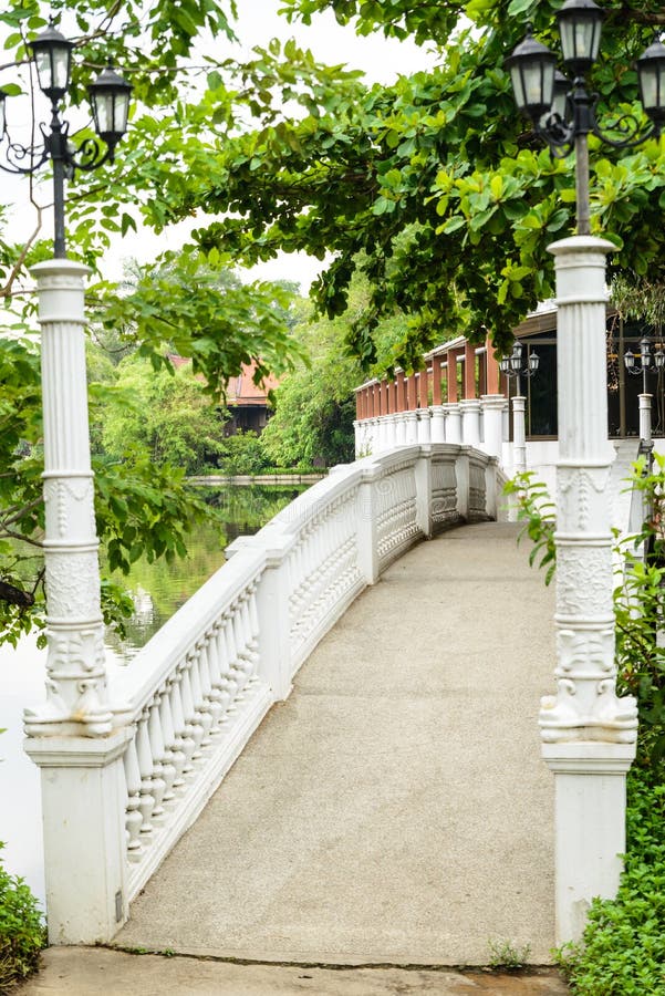 White bridge in the forest stock image. Image of park - 53539805