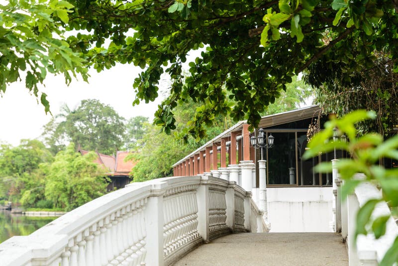 White bridge in the forest stock image. Image of pattern - 53540325
