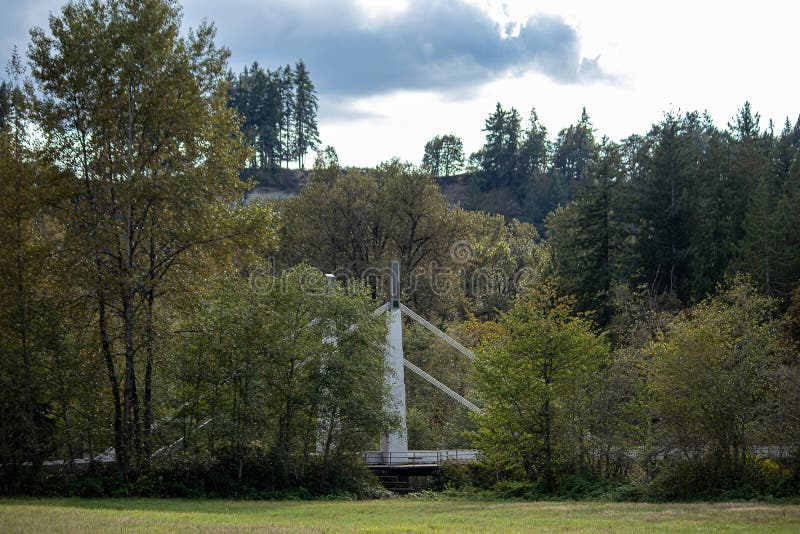 A White Bridge Hidden in the Trees Stock Photo - Image of landmark ...