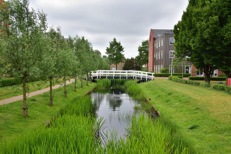 Canal with Plants Growing in it Stock Photo - Image of flower, river ...