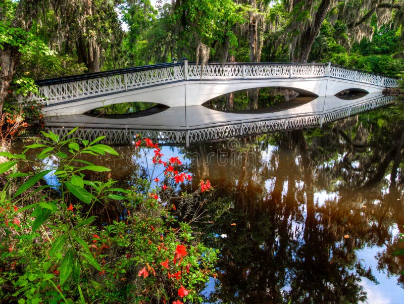 Red Bridge Over Water, with Moss Covered Trees. Charleston, SC. Stock ...