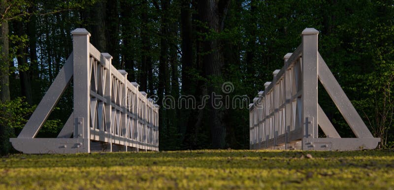 White Bridge Railings. Maple Flowers on the Park Track Stock Photo ...