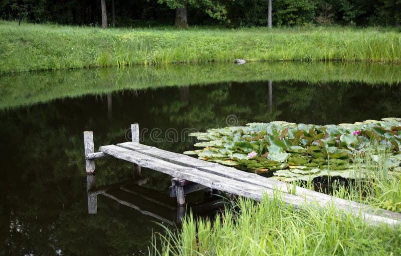 White bridge in small lake stock image. Image of beautiful - 26405205