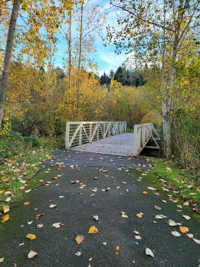 White Bridge To Autumn Leaves Stock Photo - Image of green, garden ...