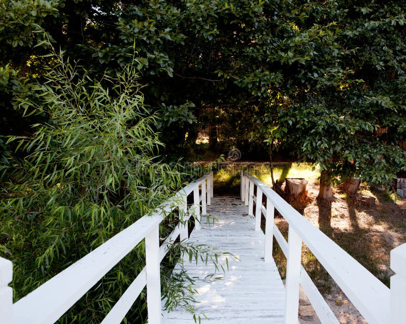 White Bridge To a Walking Path in the Trees Stock Image - Image of ...