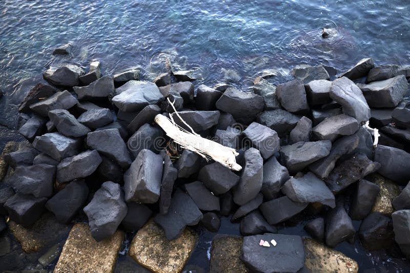 White Broken Branch Over the Black Sea Stones Stock Photo - Image of ...
