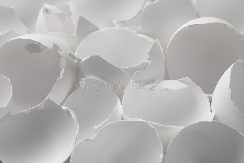 White Broken Egg Shells Close Up Stock Image - Image of close, garbage ...