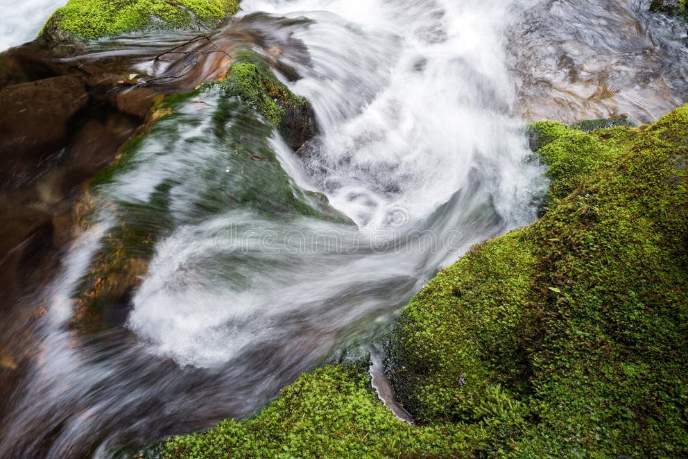 White brook beside moss stock photo. Image of water - 272435242
