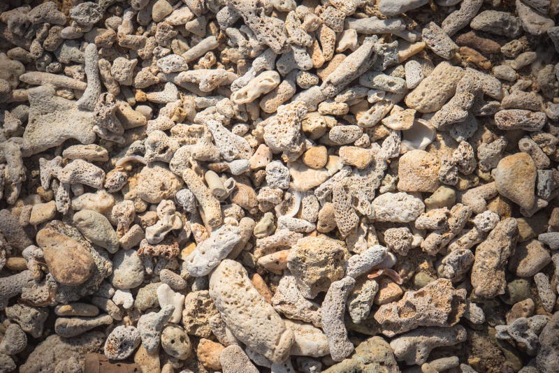 White Coral Beach Background Texture Stock Image - Image of wallpaper ...