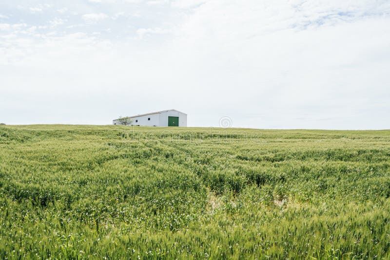 White Building in the Middle of a Green Grassy Land Stock Image - Image ...