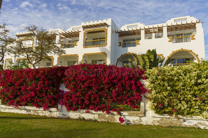 A White Building with a Red Hedge in Front of it Stock Photo - Image of ...