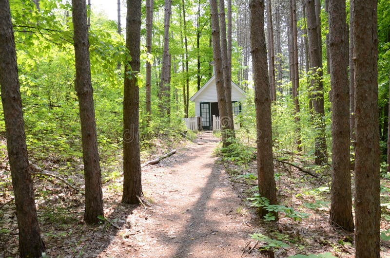 White Building and Trees in the Forest or Woods with Path Stock Photo ...