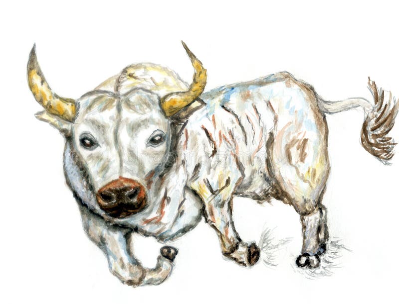 White bull art stock illustration. Illustration of milk - 169253041