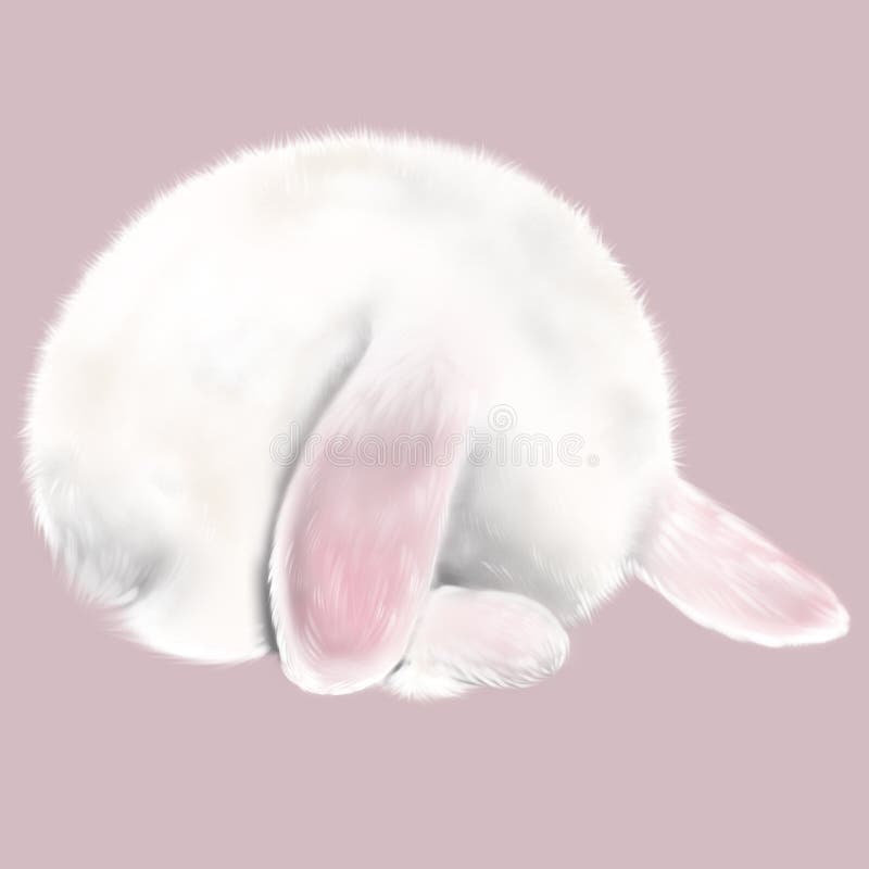 Cute Illustration White Bunny Stock Illustration - Illustration of ...