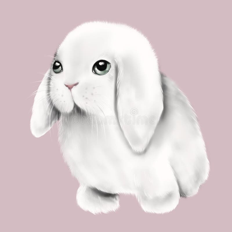 Cute Illustration White Bunny Stock Illustration - Illustration of ...