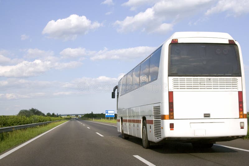 White bus stock photo. Image of hood, fast, tail, motorway - 5872614