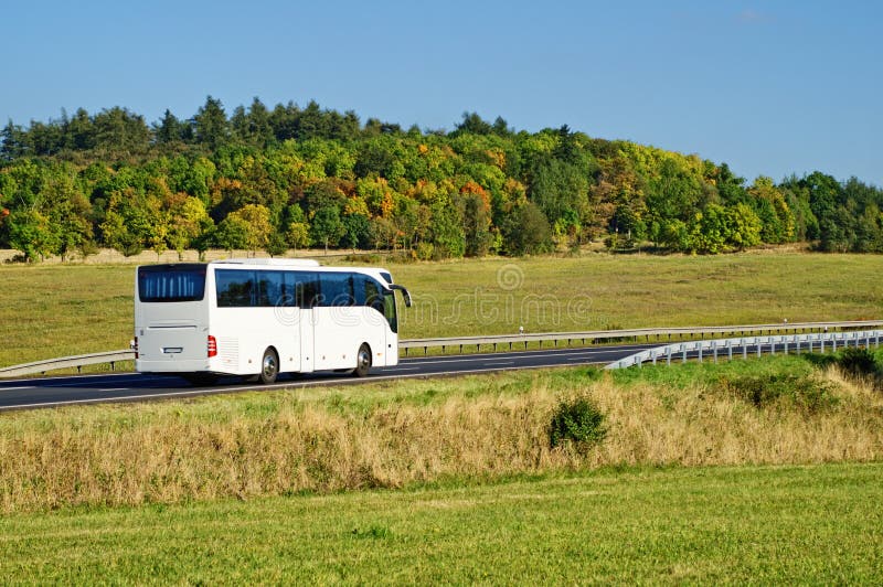 White bus stock photo. Image of hood, fast, tail, motorway - 5872614