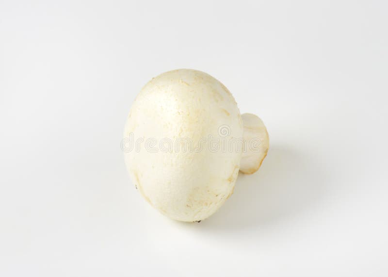 White button mushroom stock photo. Image of cultivated - 60284684