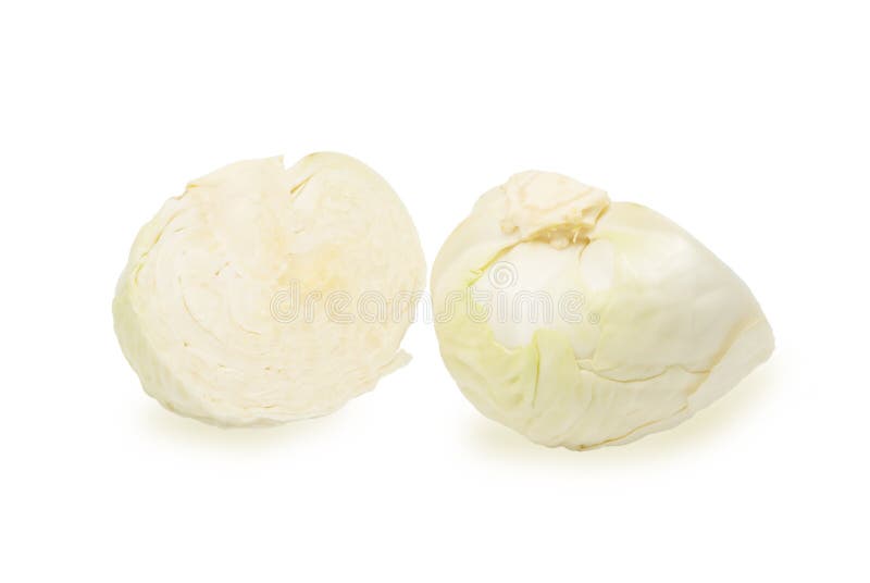 White cabbage stock image. Image of head, piece, vegetable - 18156599