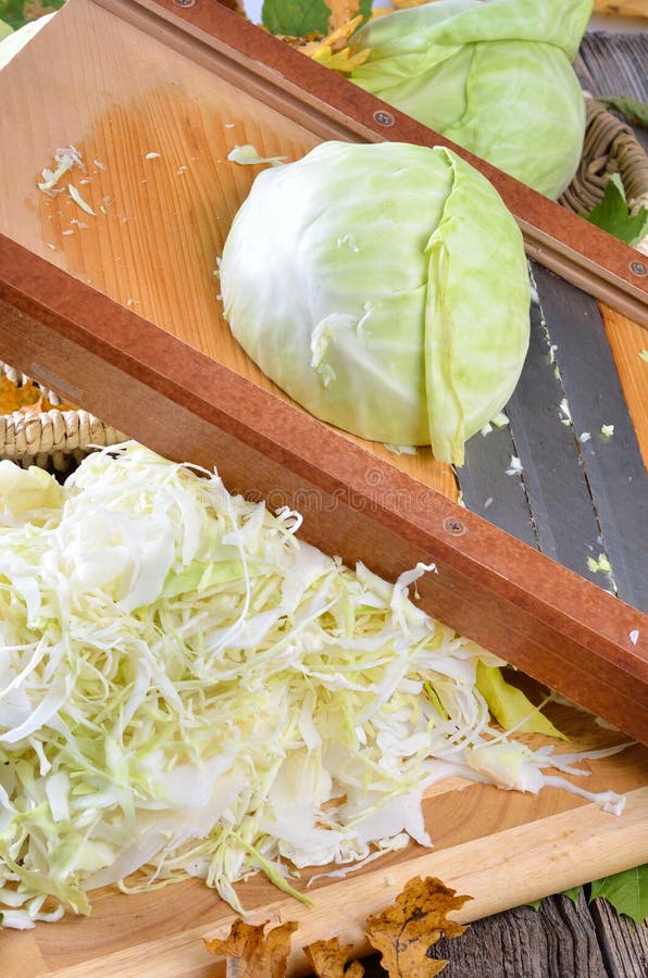 White cabbage stock photo. Image of crudites, leaf, dining - 21706080