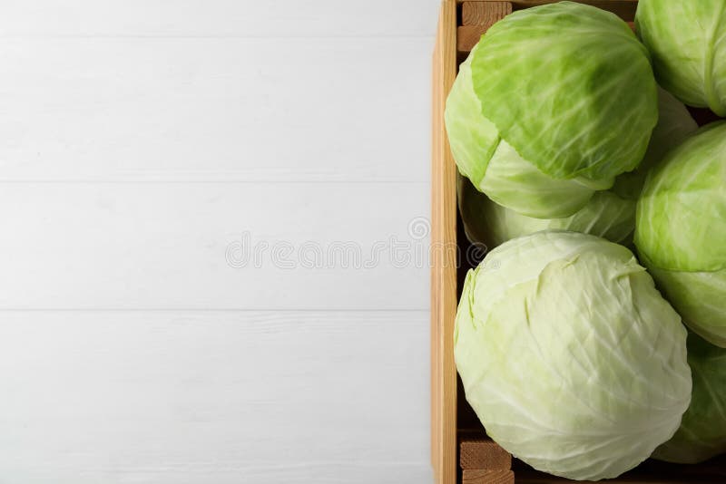 White Cabbage in Crate on Wooden Table, Top View. Space for Text Stock ...