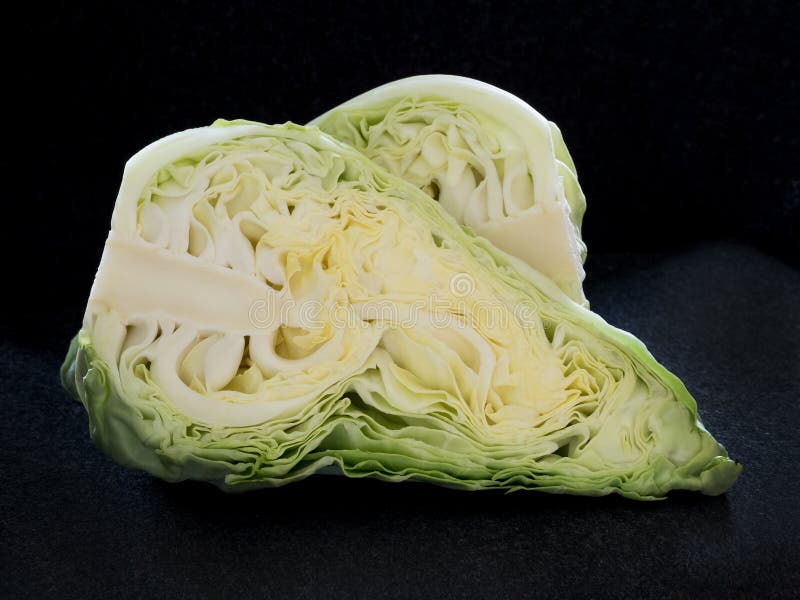 White Cabbage Cut in Halves Stock Photo - Image of vegetable ...
