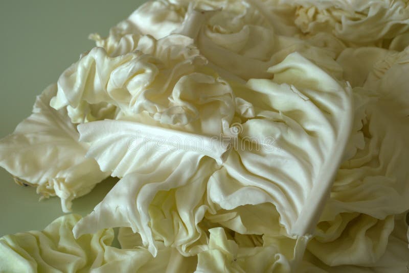 White Cabbage Cut into Pieces on the Counter Stock Photo - Image of ...