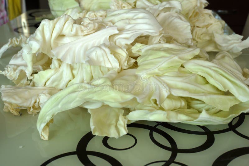 White Cabbage Cut into Pieces on the Counter Stock Image - Image of ...