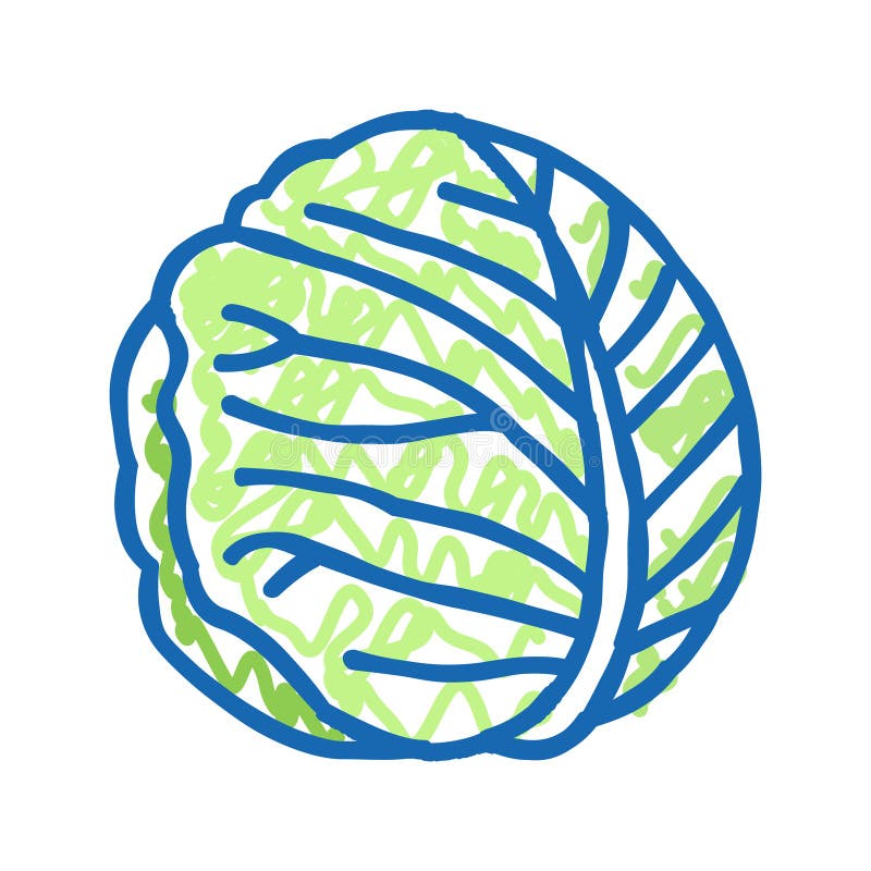 White Cabbage Icon Doodle Illustration Stock Vector - Illustration of ...