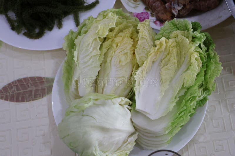 White Cabbage is Known As a Processed Vegetable in Chinese Cuisine ...