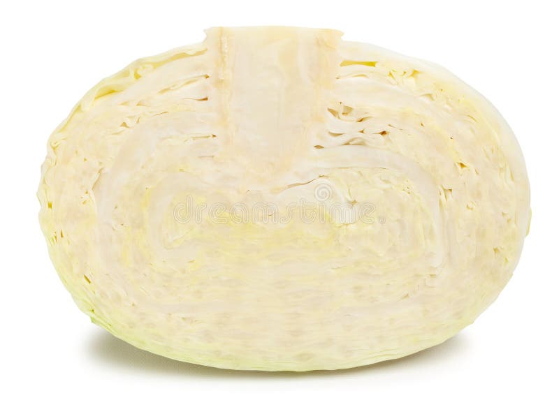 White cabbage stock image. Image of vegetables, nutrient - 126019631