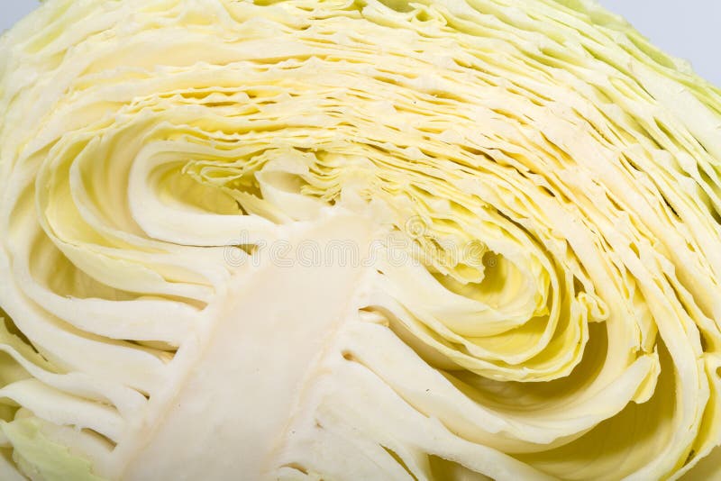 White cabbage stock image. Image of salad, close, nutrition - 47768071