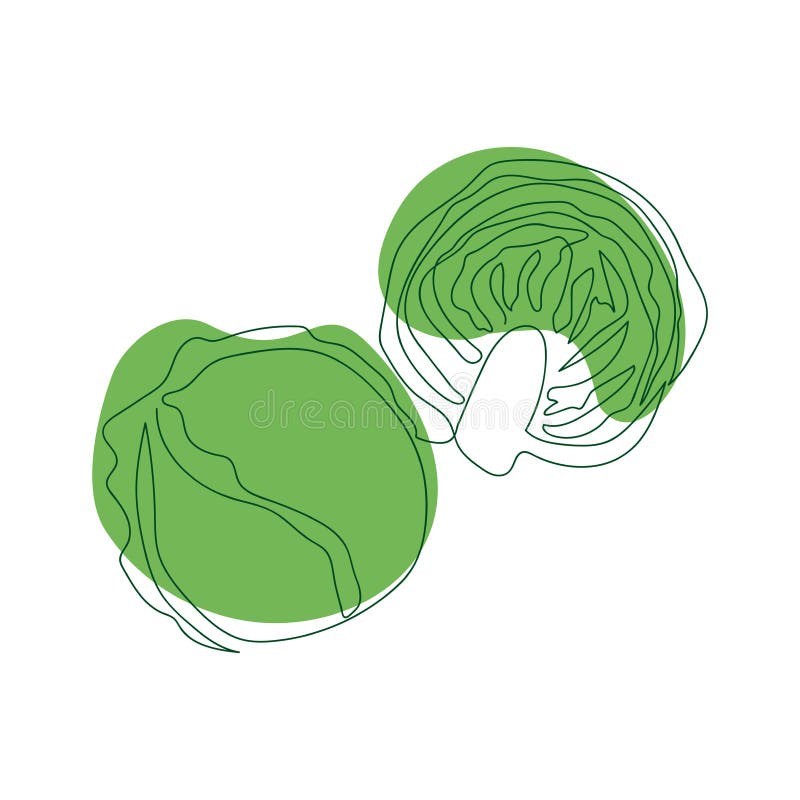 Half Head Cabbage Stock Illustrations – 235 Half Head Cabbage Stock ...