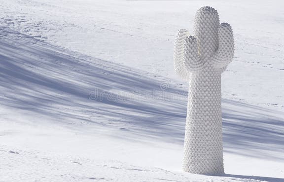 White Cactus in Snow Field stock image. Image of real - 6995965