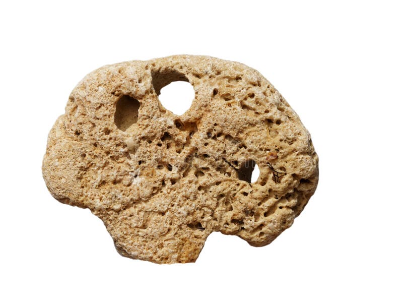 White Calcareous Stone Isolated on White Background Stock Photo - Image ...