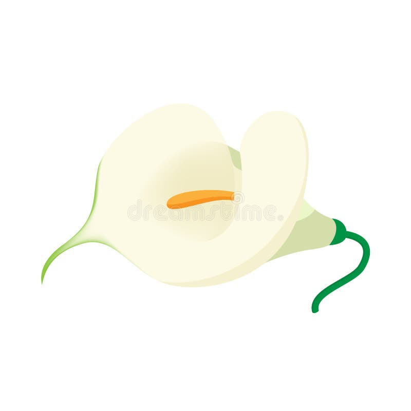 Cartoon Calla Stock Illustrations – 279 Cartoon Calla Stock ...