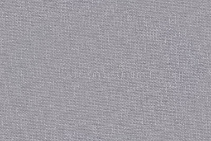 White Canvas Like Structure with Regular Linear Threads Pattern ...