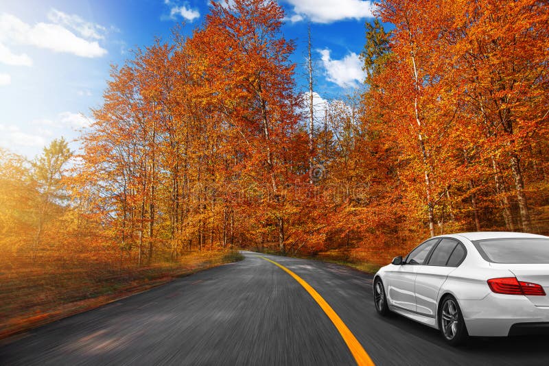 White Car on the Road in a Autumn Forest. Stock Image - Image of forest ...