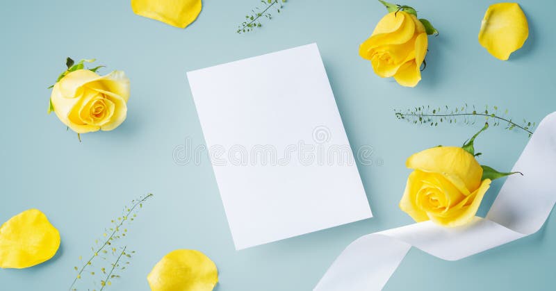 White Card with Yellow Roses and Ribbon on Blue Background Stock Image ...