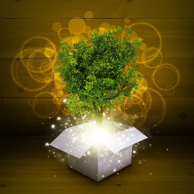 White Cardboard Box with Magical Green Tree Stock Illustration ...
