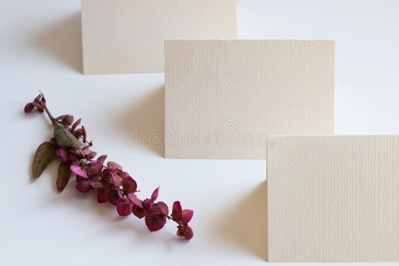 White Cards Mock Up with Space for Your Text Stock Image - Image of ...
