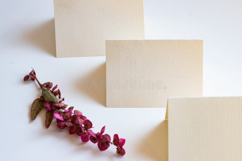 White Cards Mock Up with Space for Your Text Stock Image - Image of ...