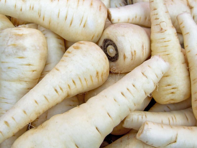 White carrot stock image. Image of vegetable, cooking - 2371663