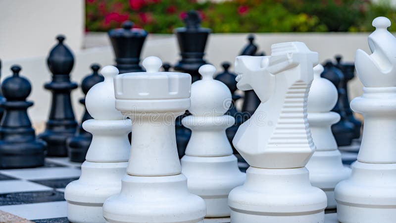White Castle Chess Pieces Lined Up at the Start of a Game Stock Photo ...
