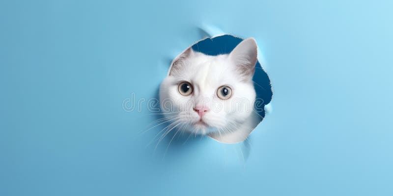 White Cat in a Box Created with Generative Ai Tools Stock Illustration ...