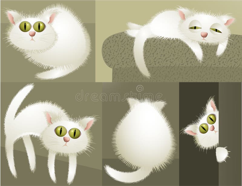 White cat character stock vector. Illustration of animal - 50279067