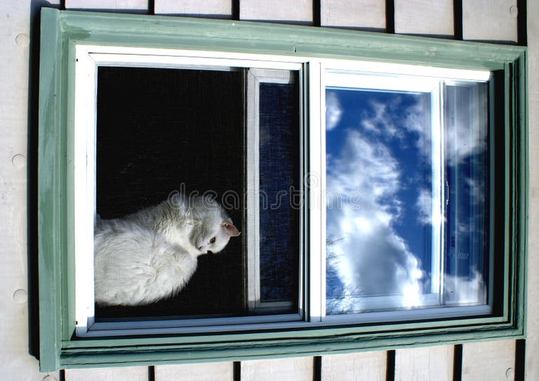 Cat Looking Out Window Stock Illustrations – 250 Cat Looking Out Window ...