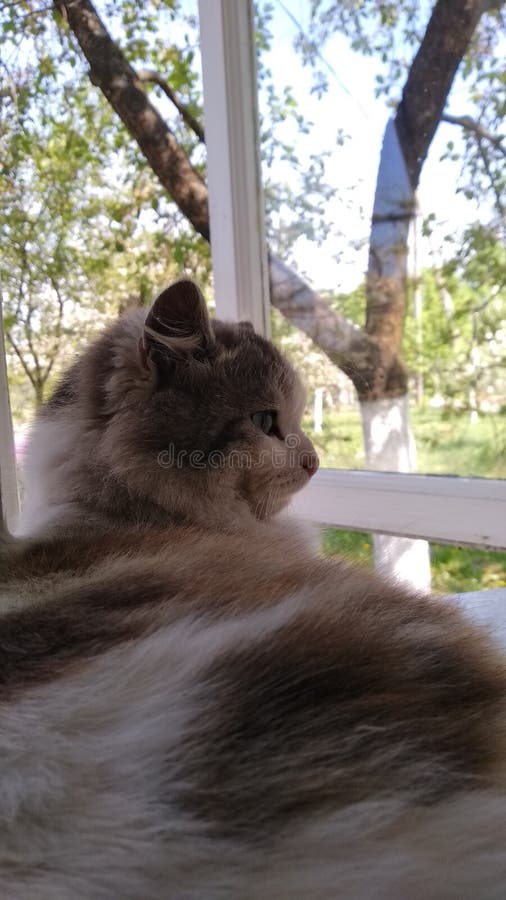 Wallpaper Pc My Stock Photos - Free & Royalty-Free Stock Photos from ...