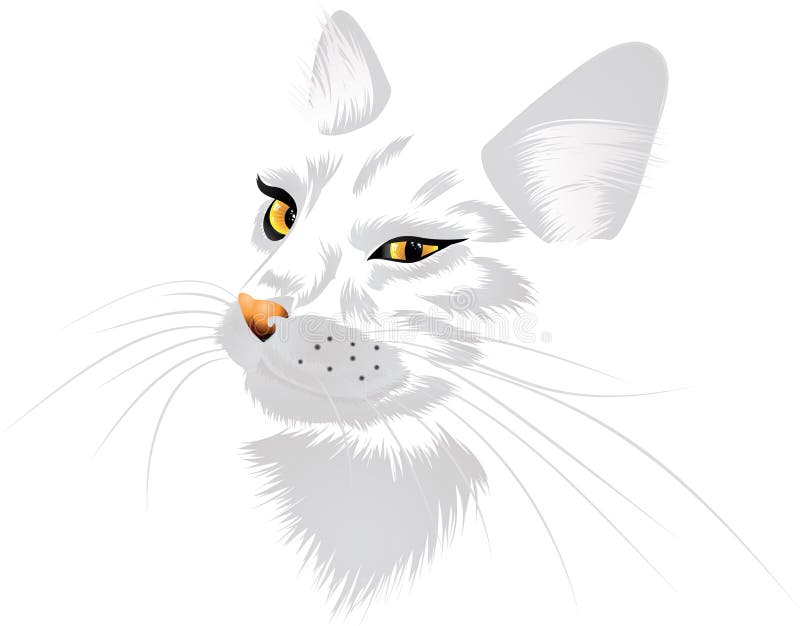 Evil red eyes stock vector. Illustration of eyeball, dangerous - 32244153